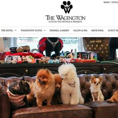 "The Wagington" preferred Chesterfield Sofa for their VVIP!