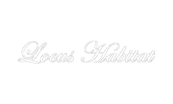 Luxury & Designer Furniture and Sofas in Singapore | Locus Habitat